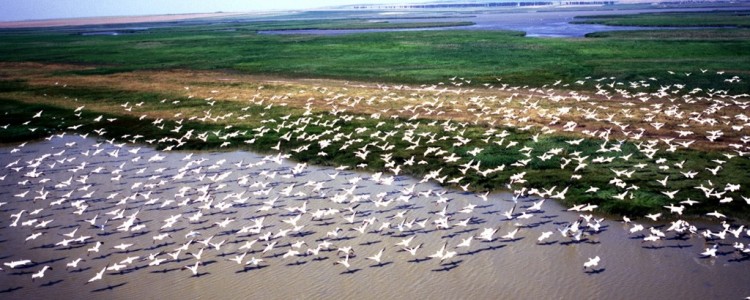 Kružno putovanje u Rumunjsku, Grupno putovanje